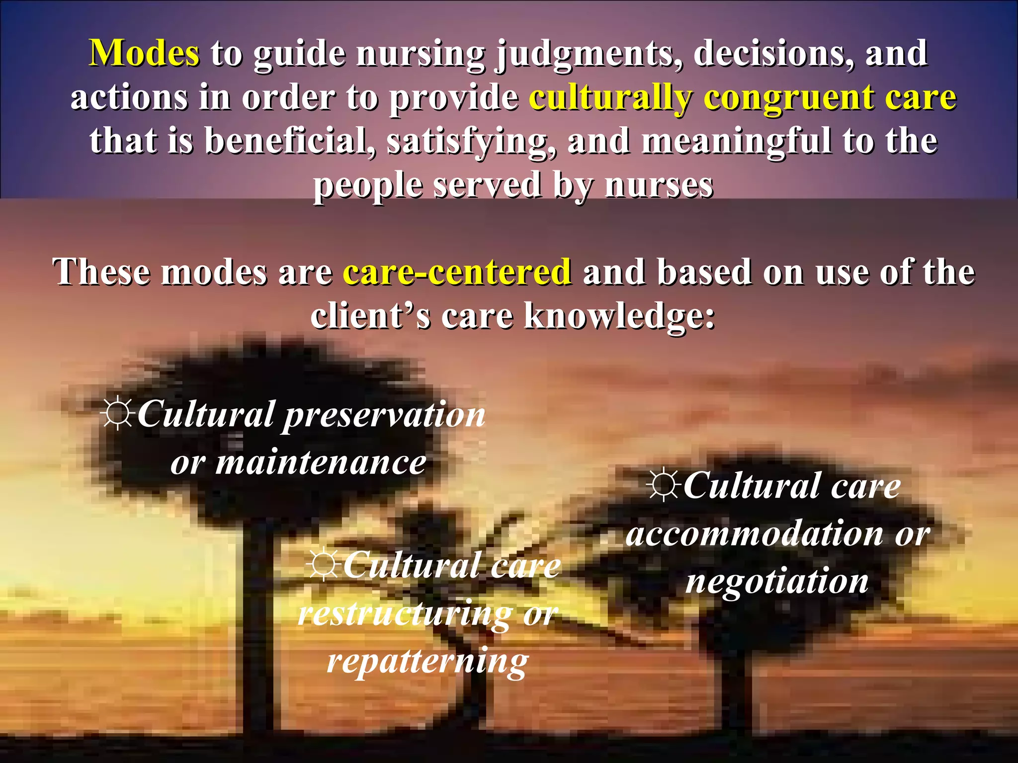 Madeliene leininger?s.sunrise model ppt | PPT