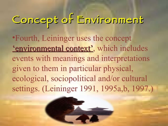Madeliene leininger?s.sunrise model ppt | PPT | Science