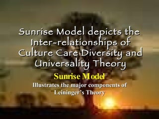 Madeliene leininger?s.sunrise model ppt | PPT