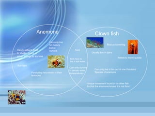 Madelines Fish Revision | PPT