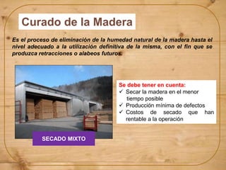 Madera | PPTX