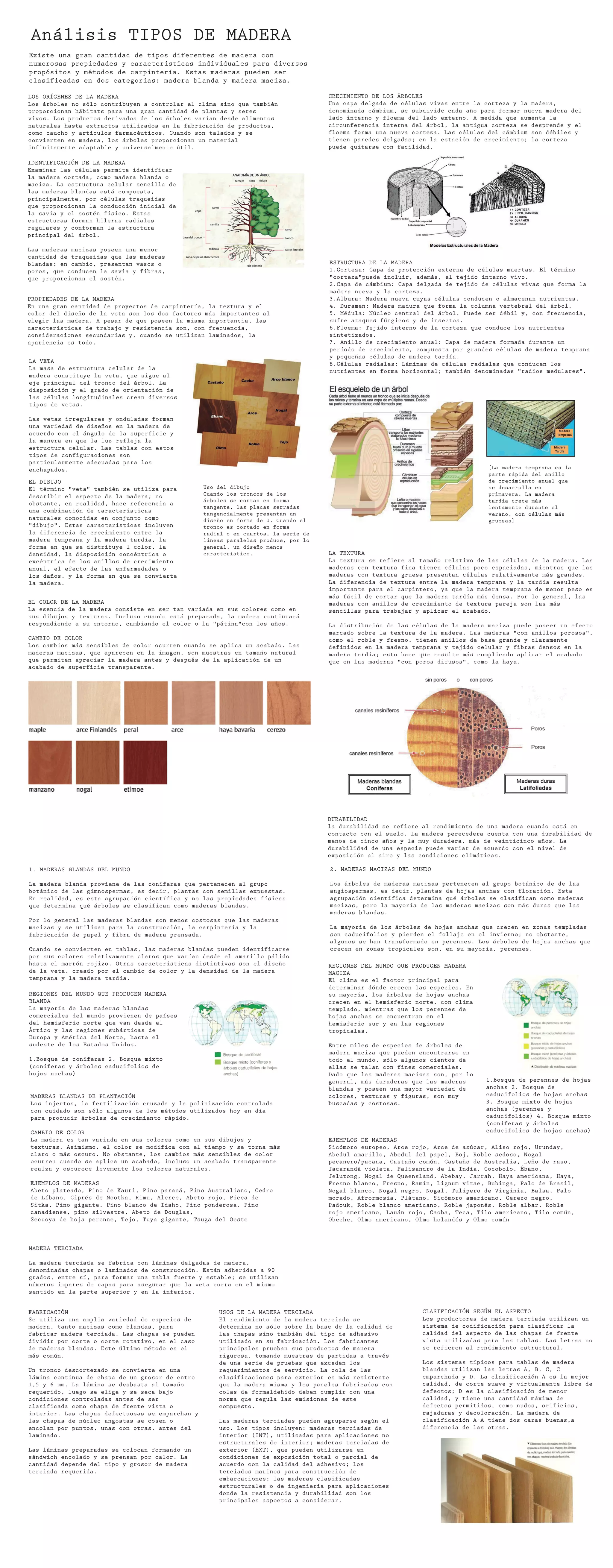 Análisis de la madera | PDF