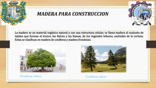 Madera para la construcción | PPTX