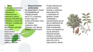 MADERA PRECIOSA - ESTRUCTURA V..pptx