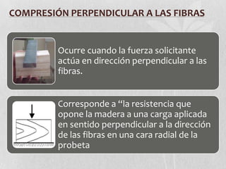 Maderas | PPTX