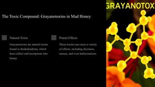 Mad Honey: A Journey into Folk Medicines | PPT