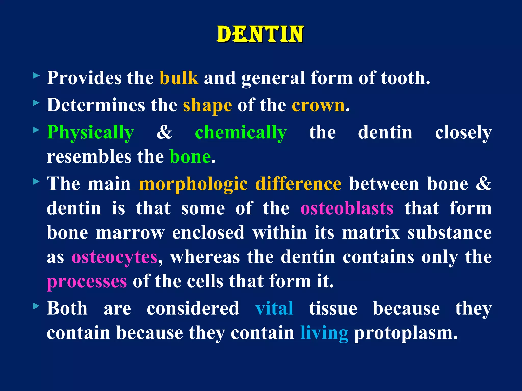 Tooth Dentin and dentinogenesis ppt | PPT