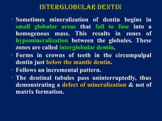 Interglobular Dentin