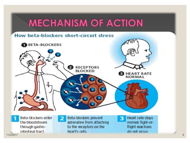 atenolol | PPTX | Heart and Cardiovascular Diseases | Diseases and Conditions