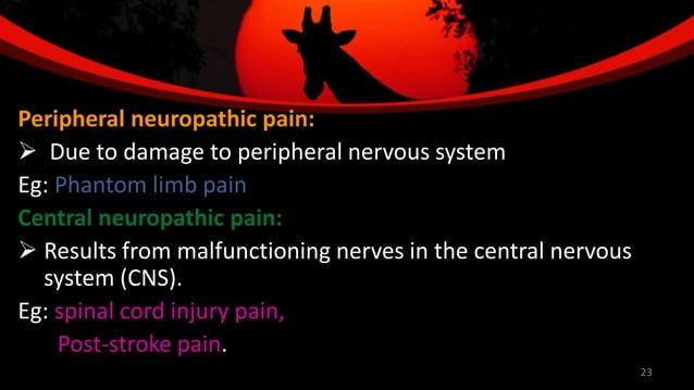 Types of pain and assessment of pain | PPTX | Brain and Nervous System ...