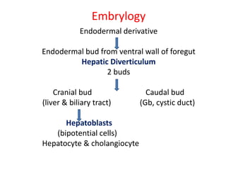 Anatomy , physiology and applied of Hepatic lobuleby Dr madhurima | PPTX