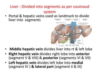 Anatomy , physiology and applied of Hepatic lobuleby Dr madhurima | PPTX