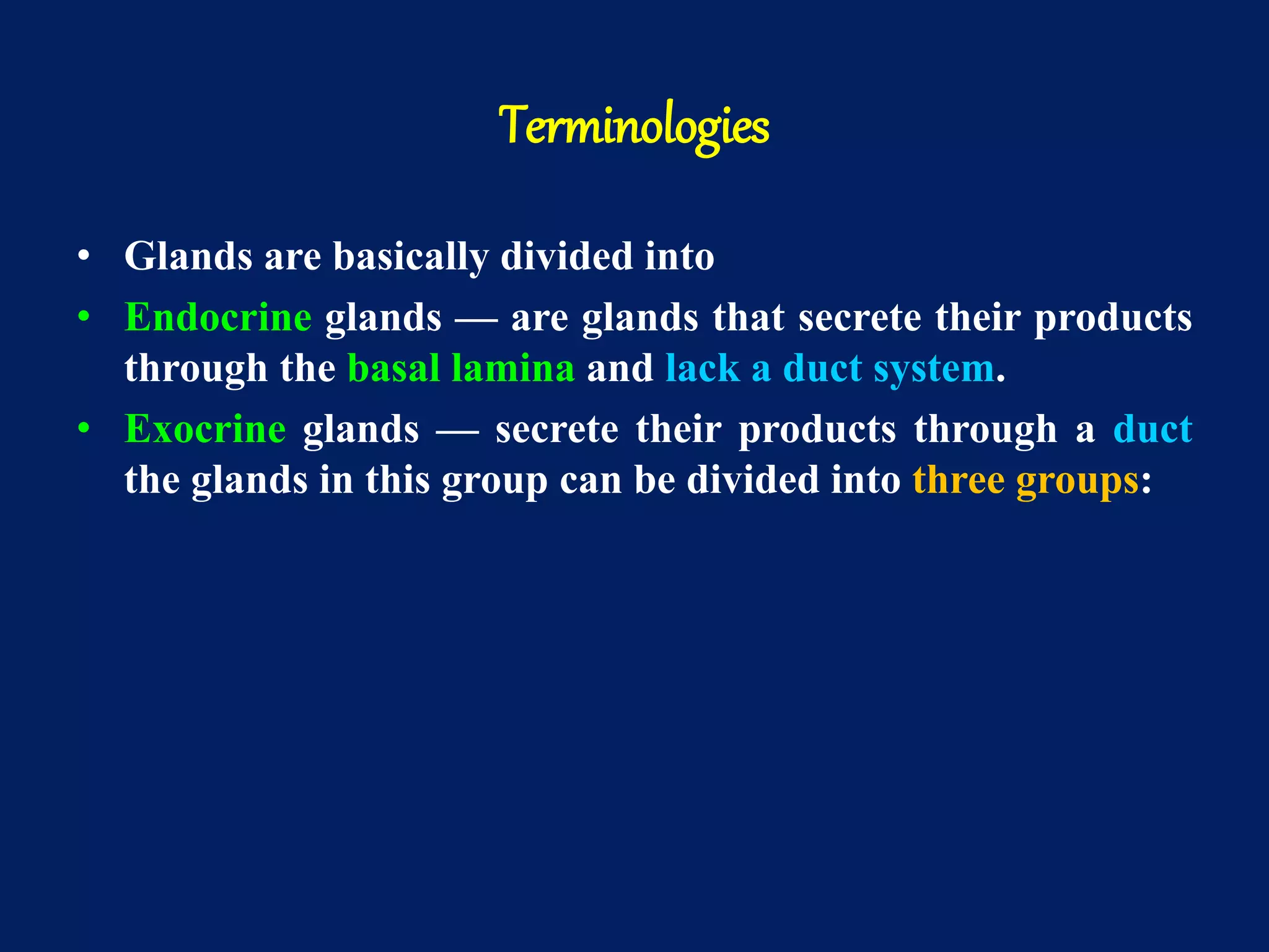 Salivary glands ppt | PPTX