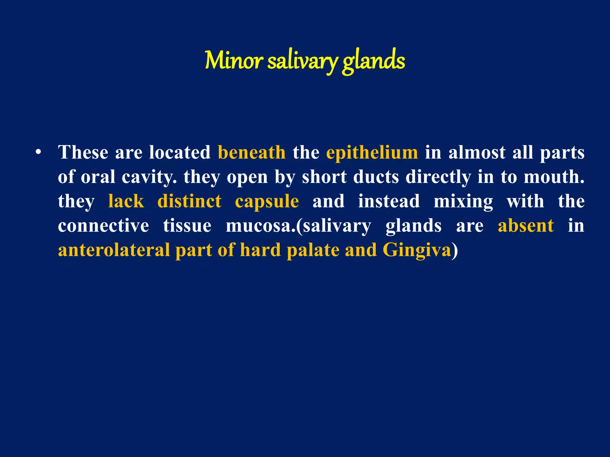 Salivary glands ppt | PPTX