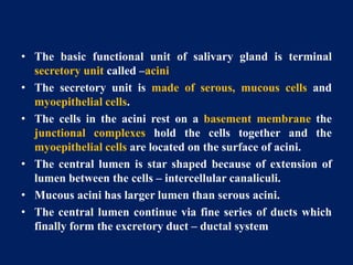Salivary glands ppt | PPTX