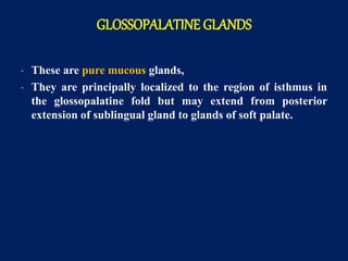 Salivary glands ppt | PPTX