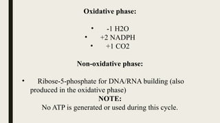 Pentose Phosphate Pathway in Metabolism.pptx