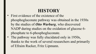 Pentose Phosphate Pathway in Metabolism.pptx | Endocrine and Metabolic ...