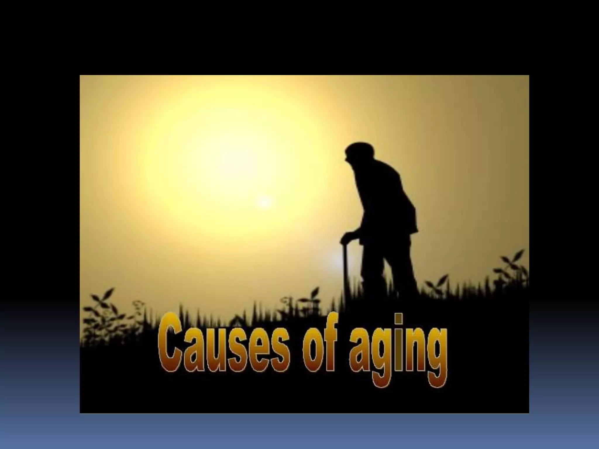 Aging Process | PPTX