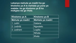 Madiri le mehuta ya wona.pptx