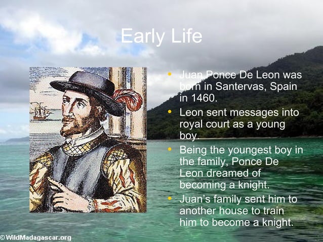 Madison K. Explorer Report | PPT