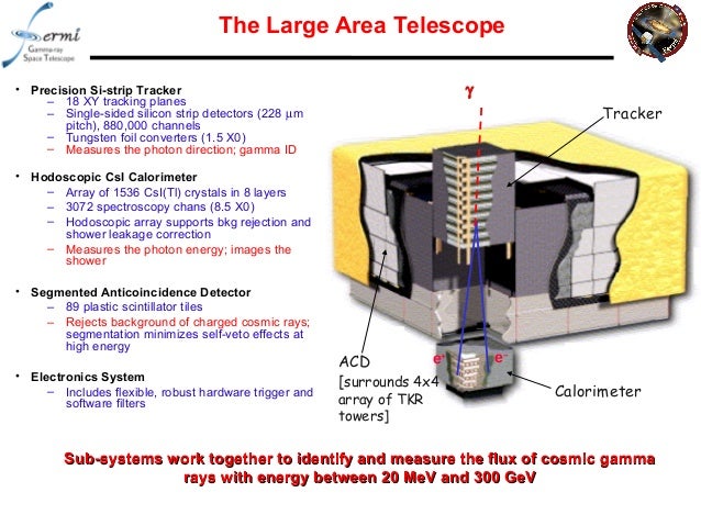 Observations of Gamma-Ray Bursts with the Fermi-Large Area Telescope