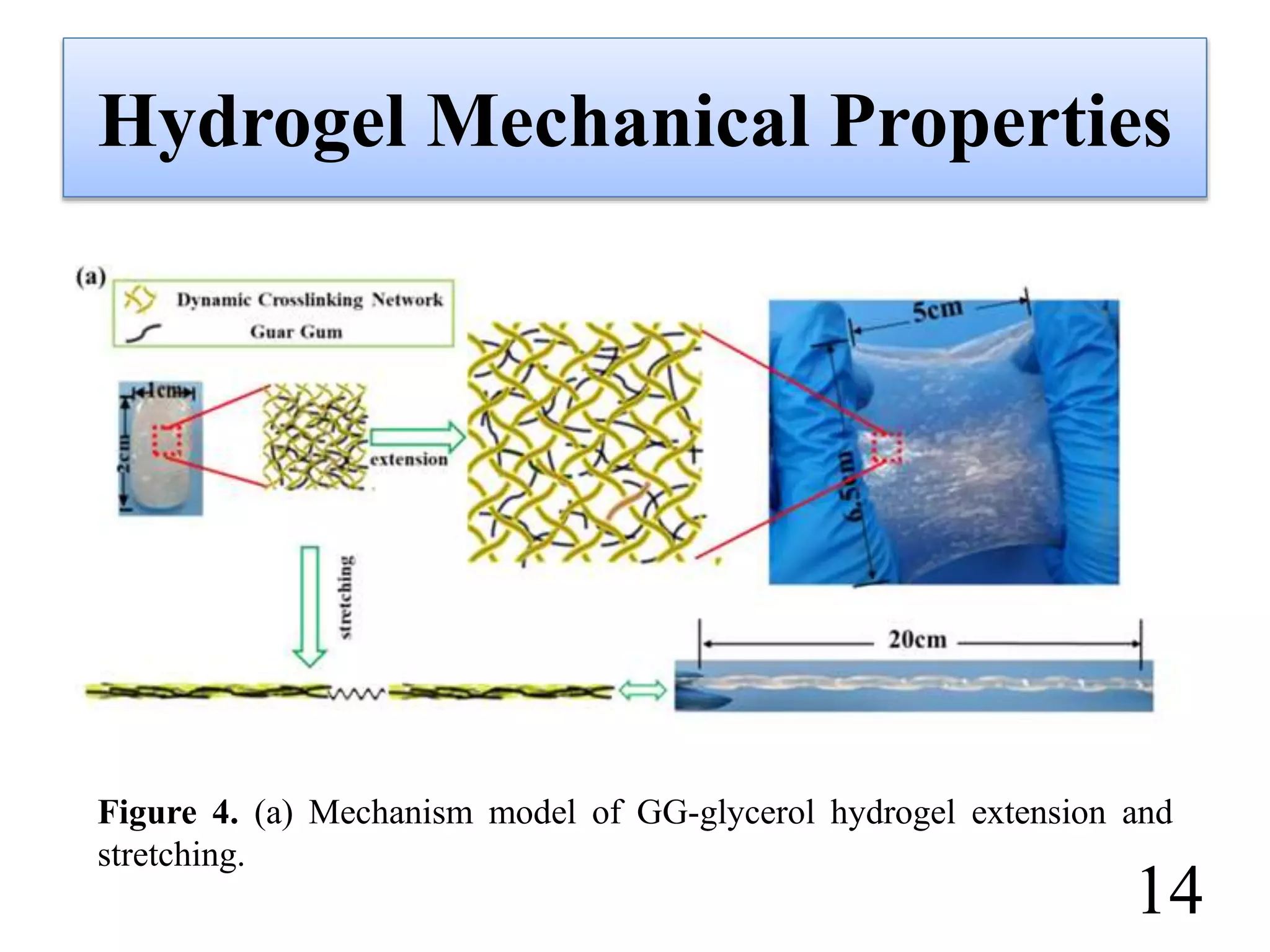 Self-Healing Guar Gum-Glycerol Hydrogel | PPTX