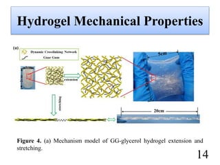 Self-Healing Guar Gum-Glycerol Hydrogel | PPTX