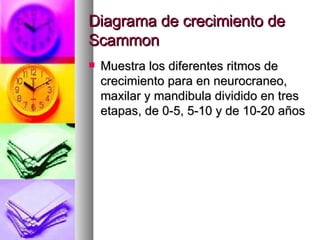 Maduracion craneofacial | PPT