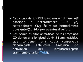 Maduracion de celulas_t | PPTX