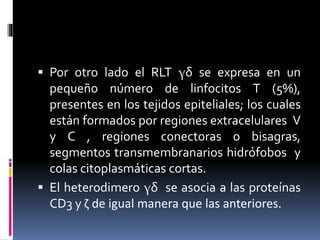 Maduracion de celulas_t | PPTX