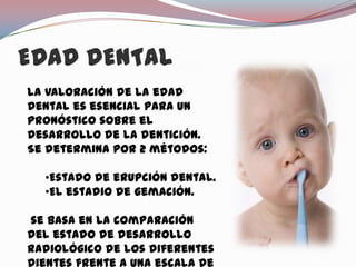 Maduracion osea | PPTX