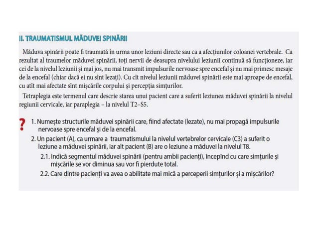 maduva-spinarii-2020 (1).ppt ààaaaaaaaaaaaaaaaaaaaaaas | PPT