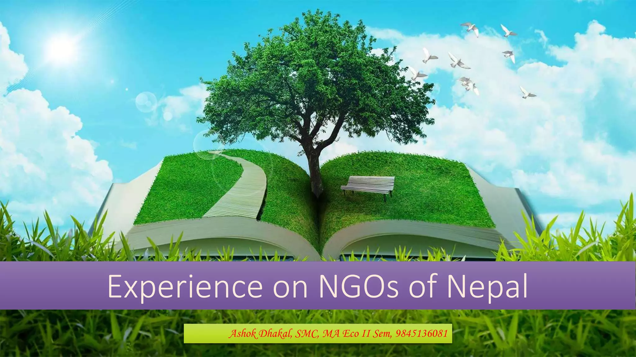 Ma eco ii sem dev plan experience on ngo of nepal by ashok dhakal | PPT