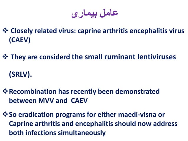 Maedi visna disease | PDF
