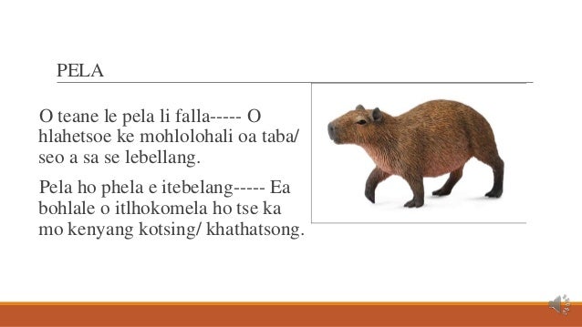Maeele ka liphoofolo tse hlaha.pptx