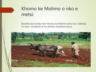 Maele ka khomo.