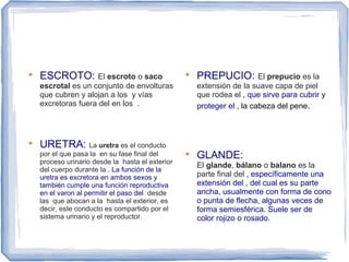 Aparato Reproductor Femenino y Masculino | PPT