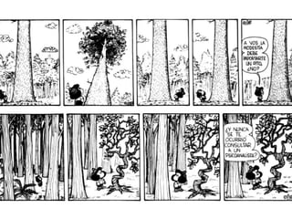 Mafalda 50 anos | PPS