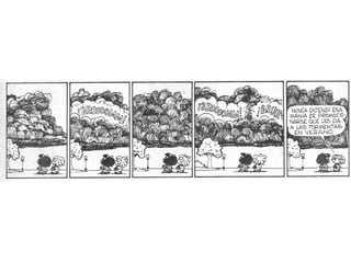 Mafalda 50 anos | PPS