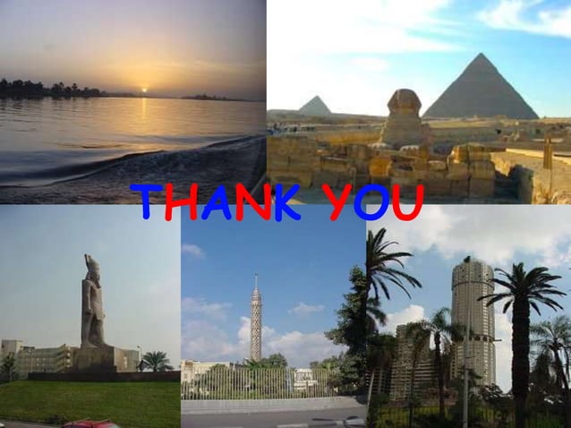 MAFLD, a new name of an old disease | PDF