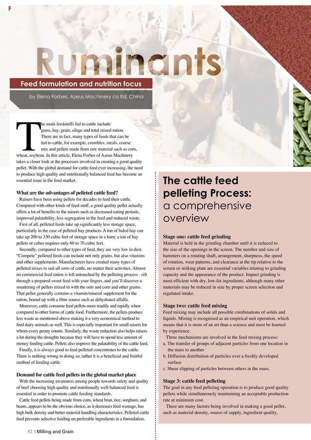 Feed formulation and nutrition focus - Ruminants | PDF | Hunting and ...