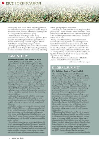 Rice Fortification Focus | PDF