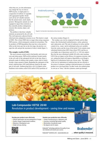 We can expect more from new generation NSP enzymes | PDF