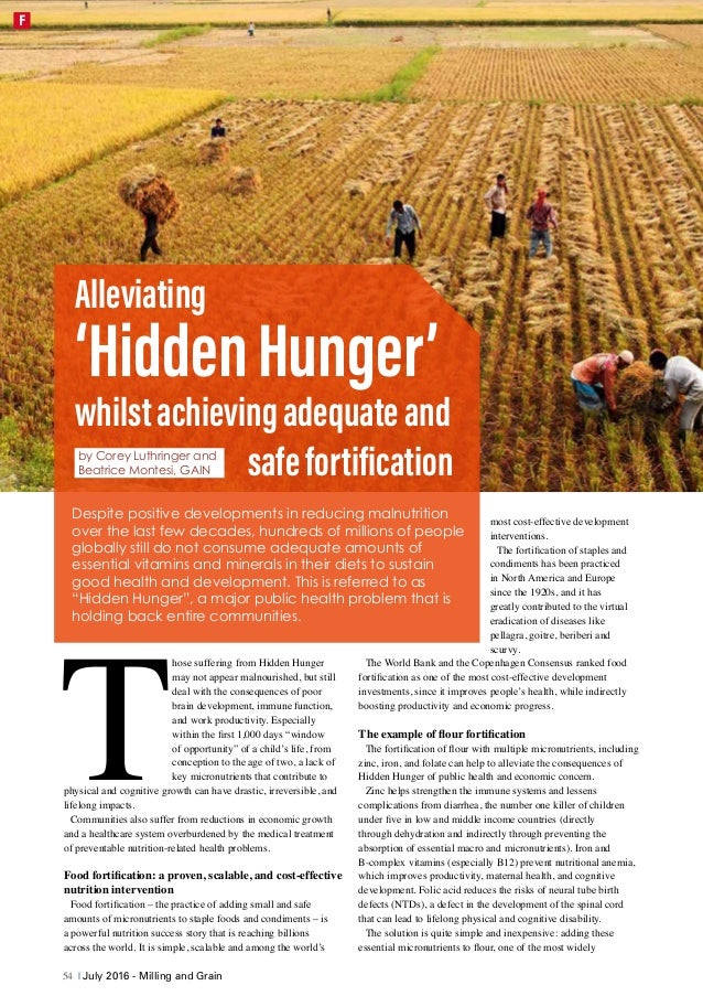 Alleviating ‘Hidden Hunger’ whilst achieving adequate and safe fortif…