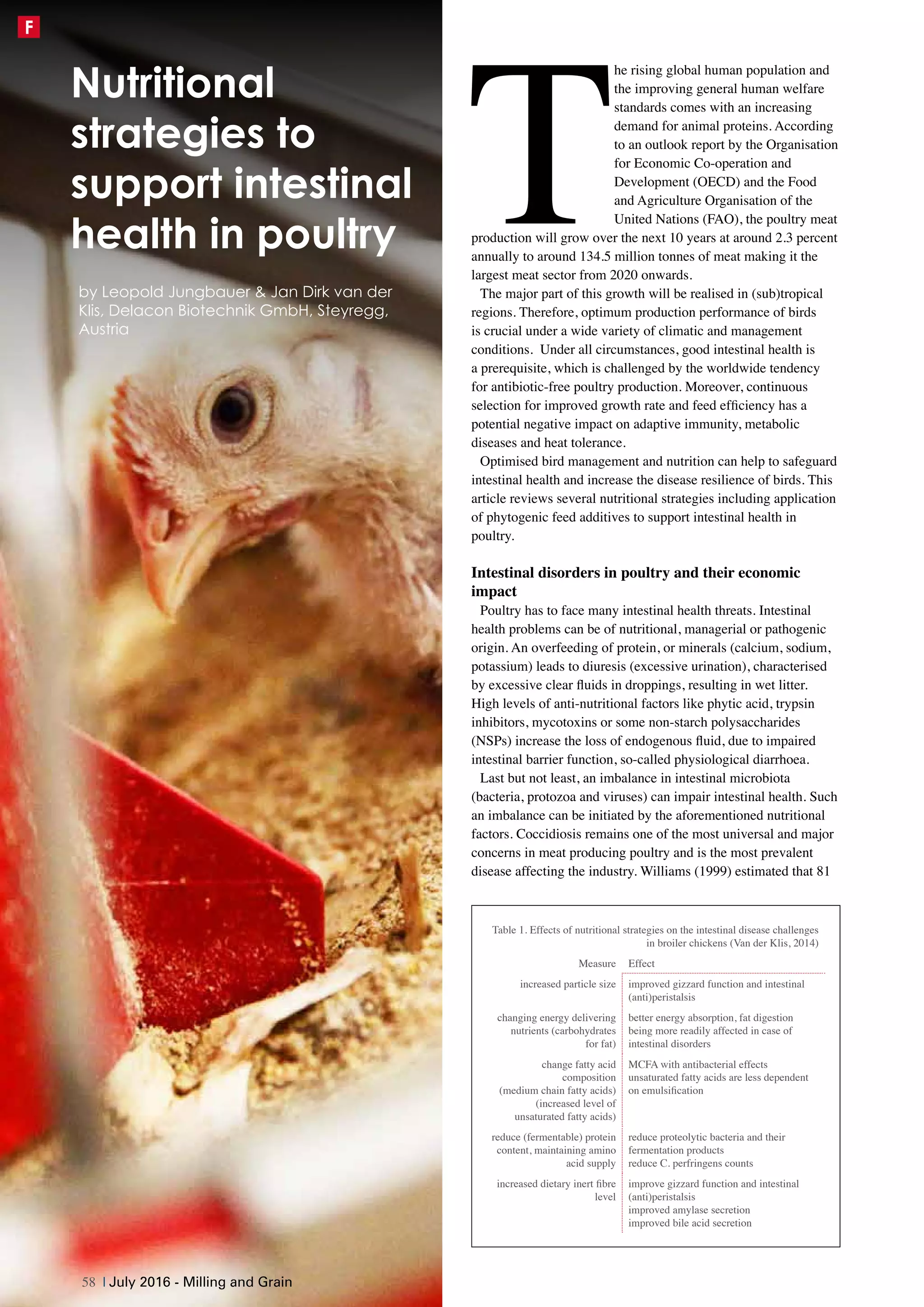 Nutritional strategies to support intestinal health in poultry | PDF