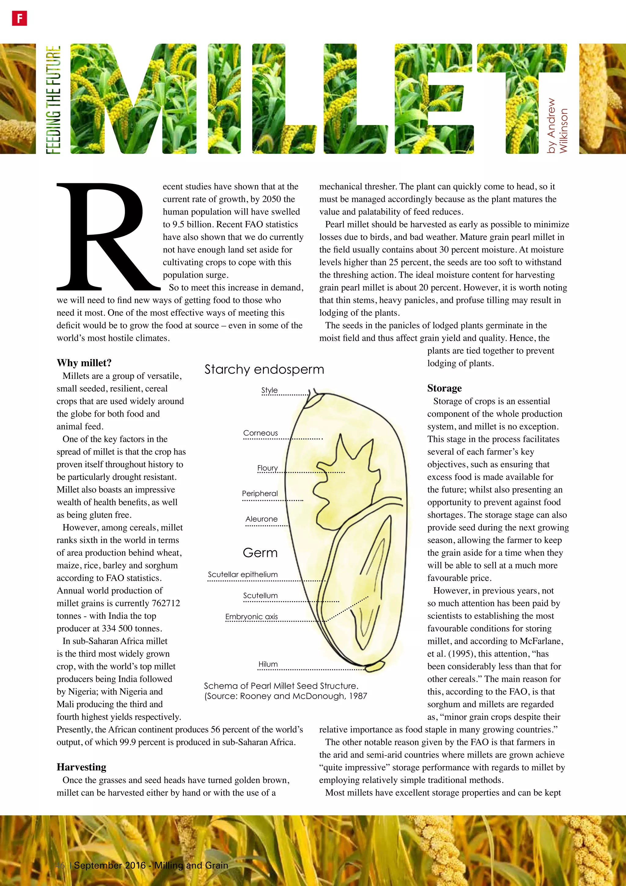 Millet - Feeding the future | PDF