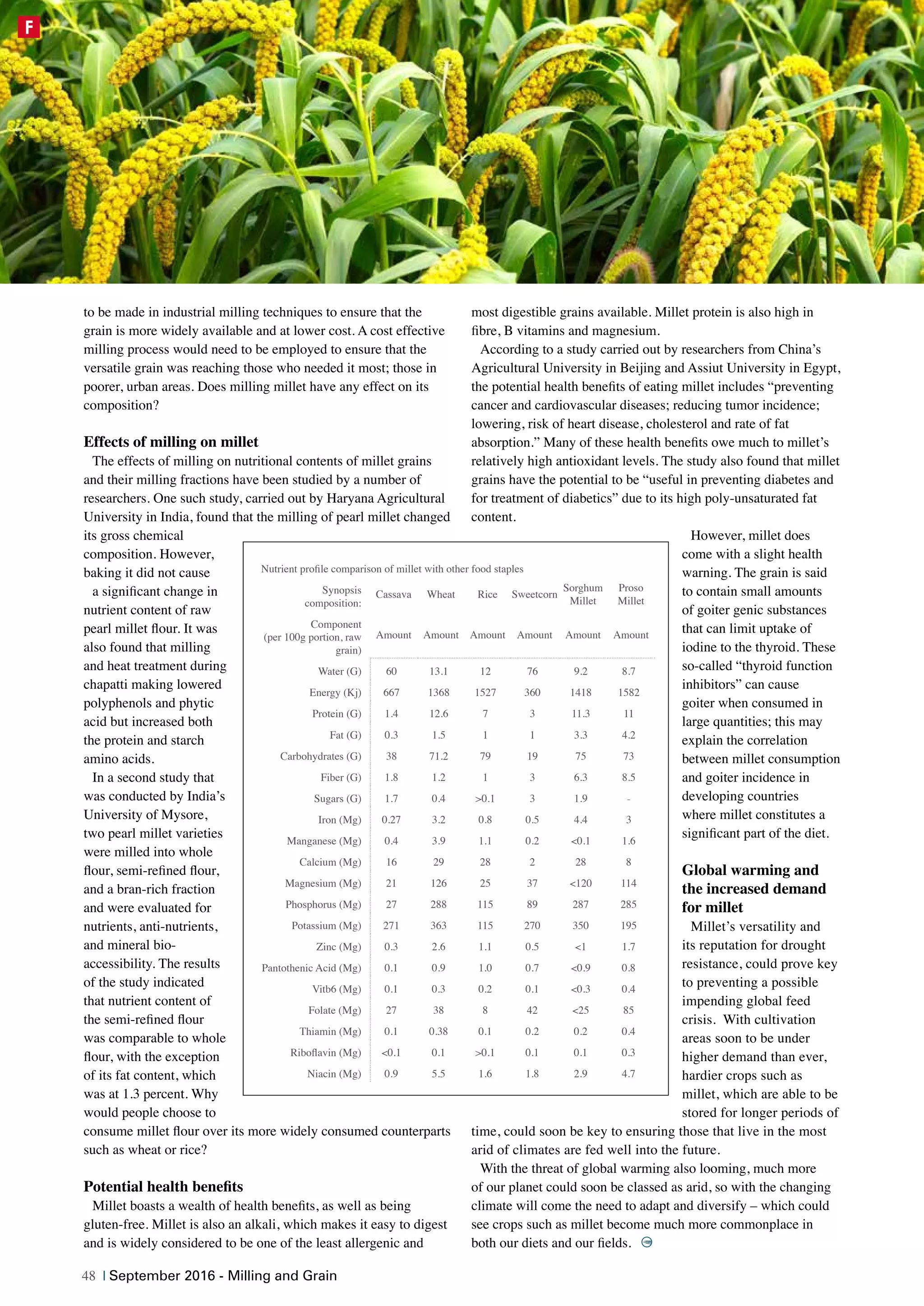 Millet - Feeding the future | PDF