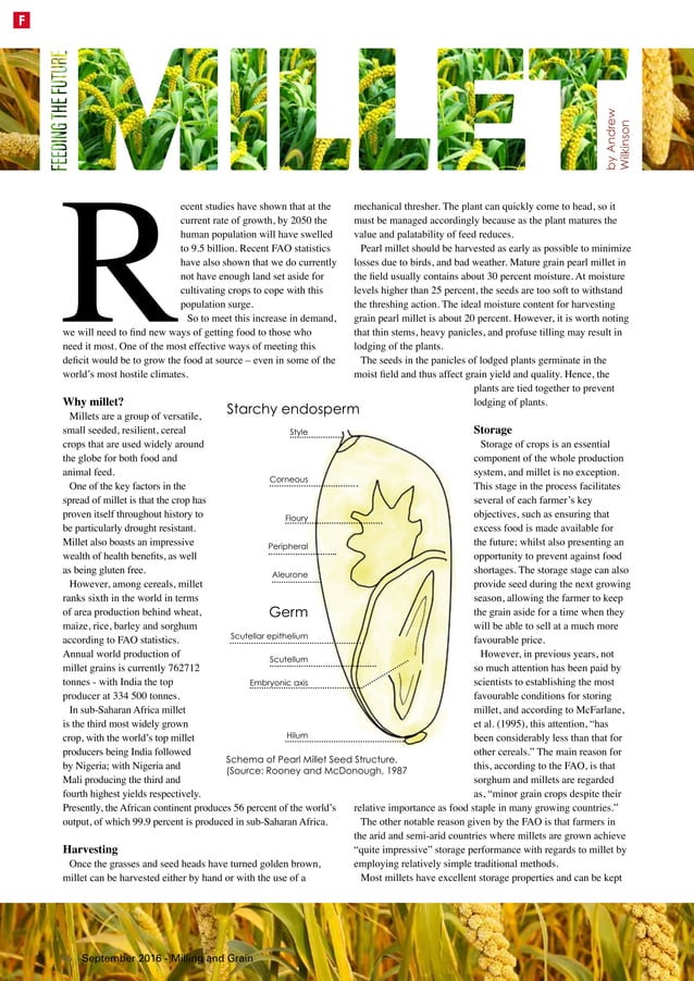Millet - Feeding the future | PDF