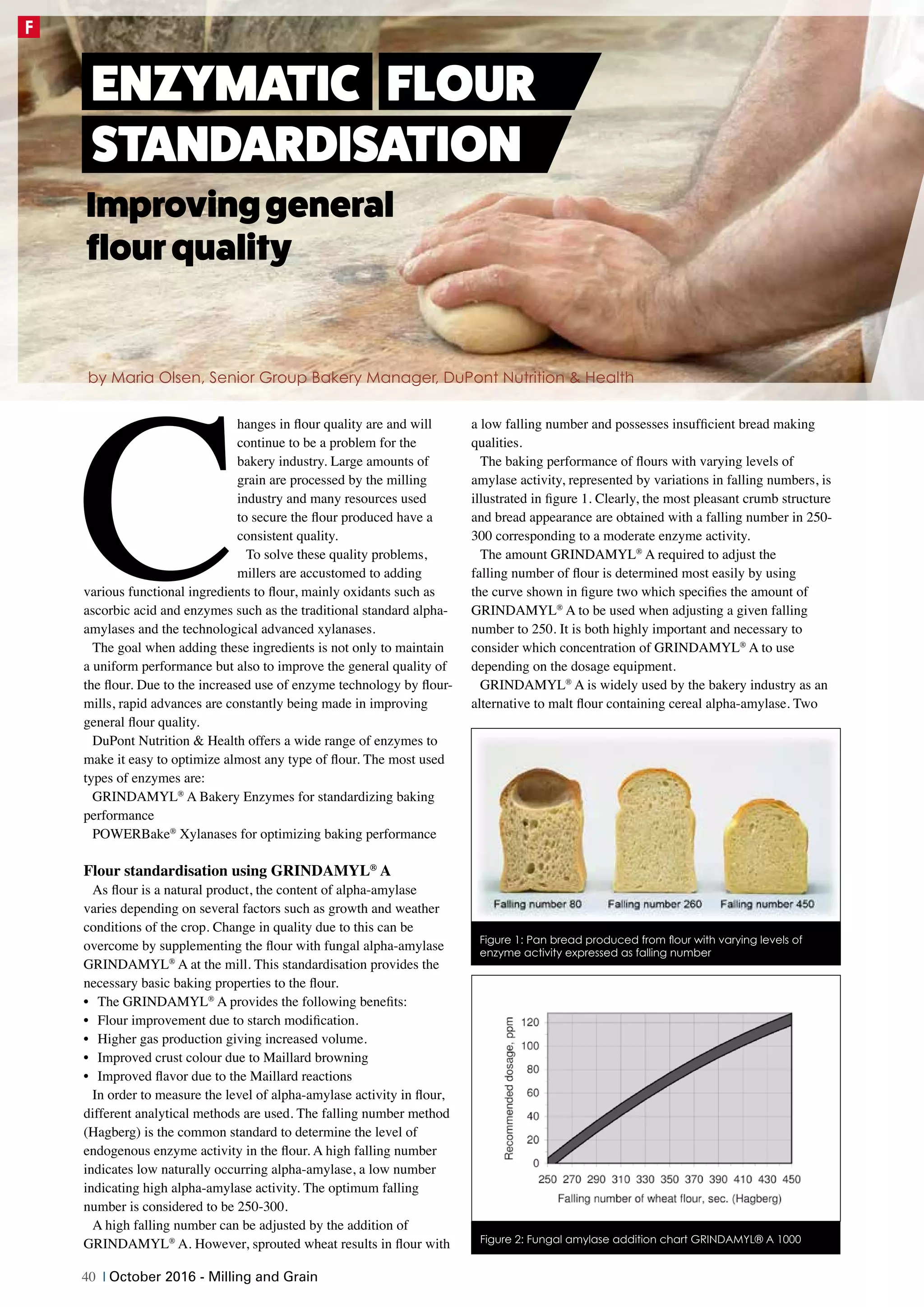 ENZYMATIC FLOUR STANDARDISATION | PDF